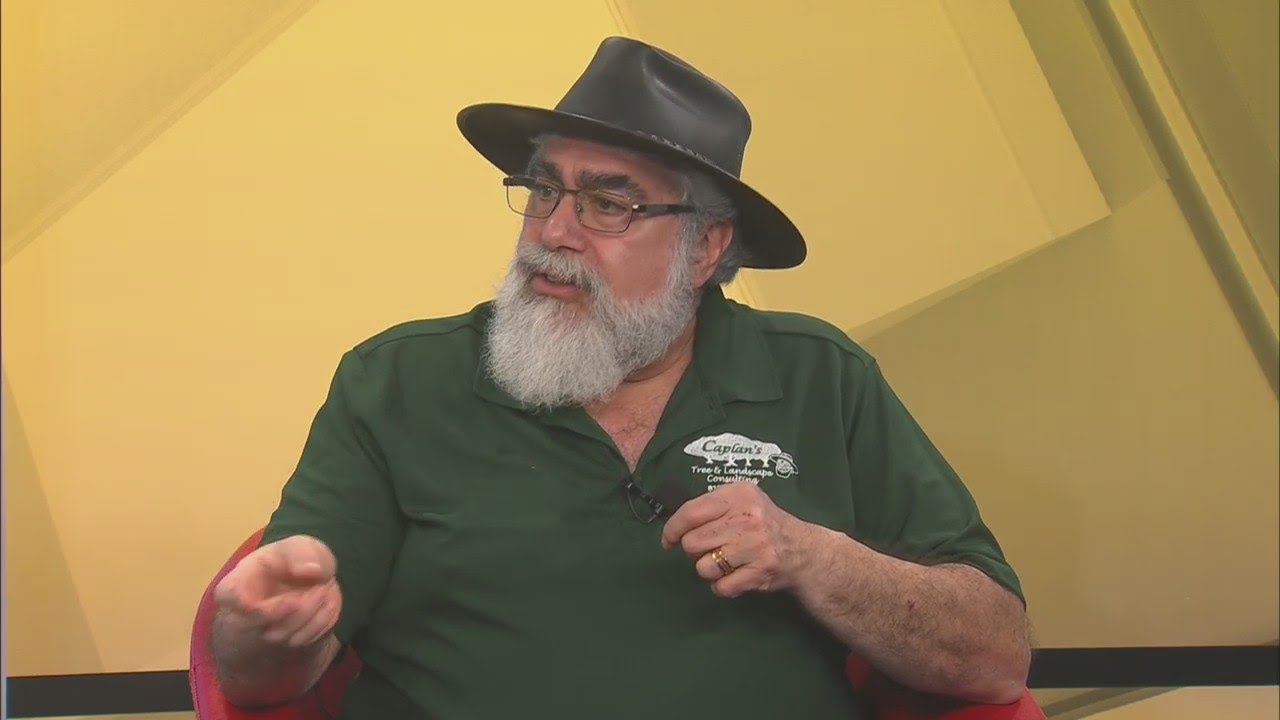 Landscape Lessons with Larry Caplan - YouTube