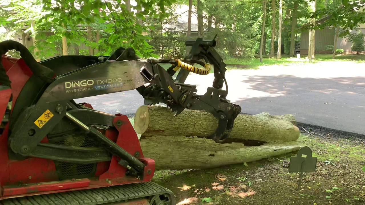 Toro Dingo TX1000 with Branch Manager Grapple moving logs. - YouTube
