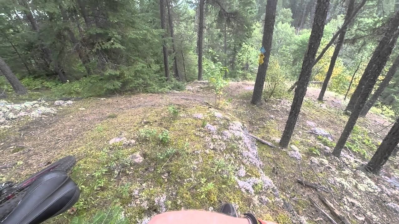 RootABega Final Climb - YouTube