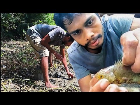 හිදිච්ච වෙලට බැහැලා කාවයියො ඇල්ලුවා මචං.... Fishing in the river | janith krishantha SL - YouTube