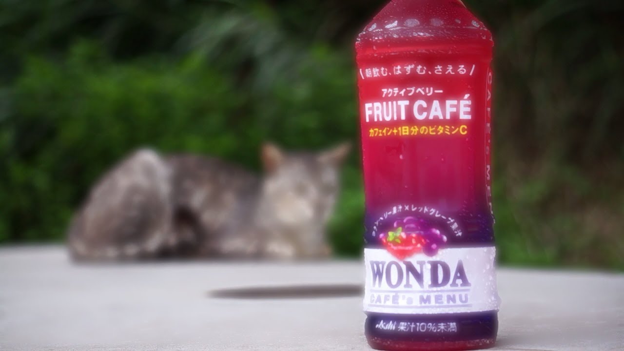 【WONDA FRUIT CAFE】アクティブベリー ワンダカフェズメニュー - YouTube