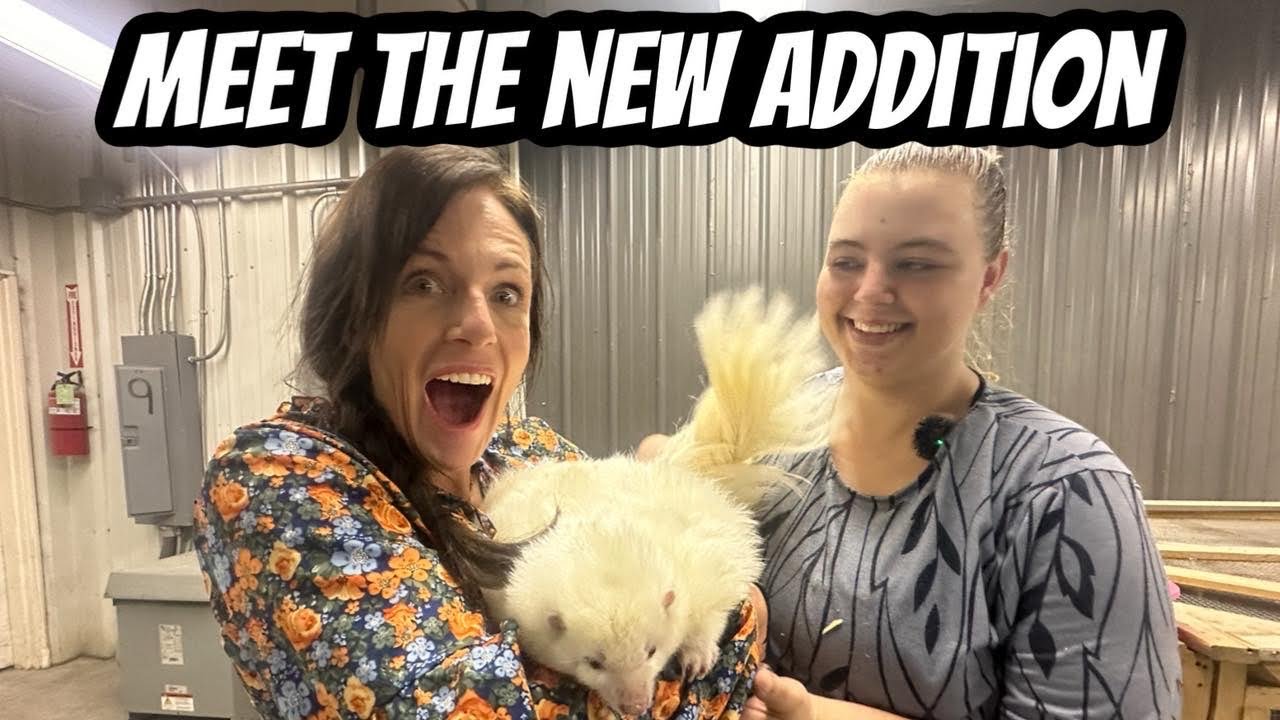 Exotic Baby Reveal at Blakelins Unique Lovables - YouTube