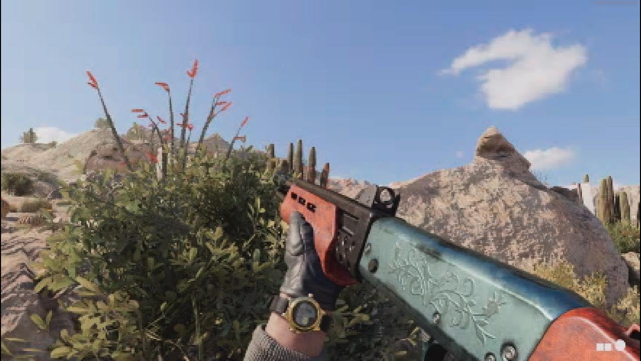 Call of Duty Black Ops Cold War/Warzone Gallo Elegant Alloy Showcase ...