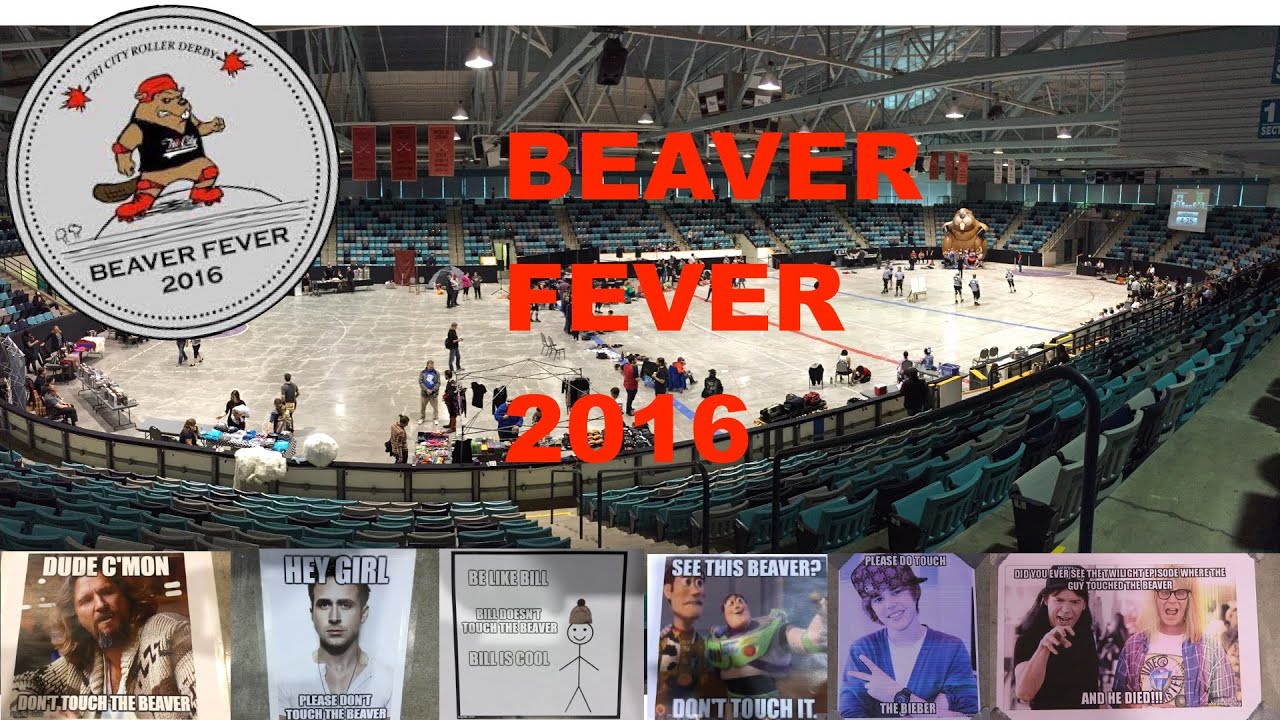 Beaver Fever 2016 - YouTube