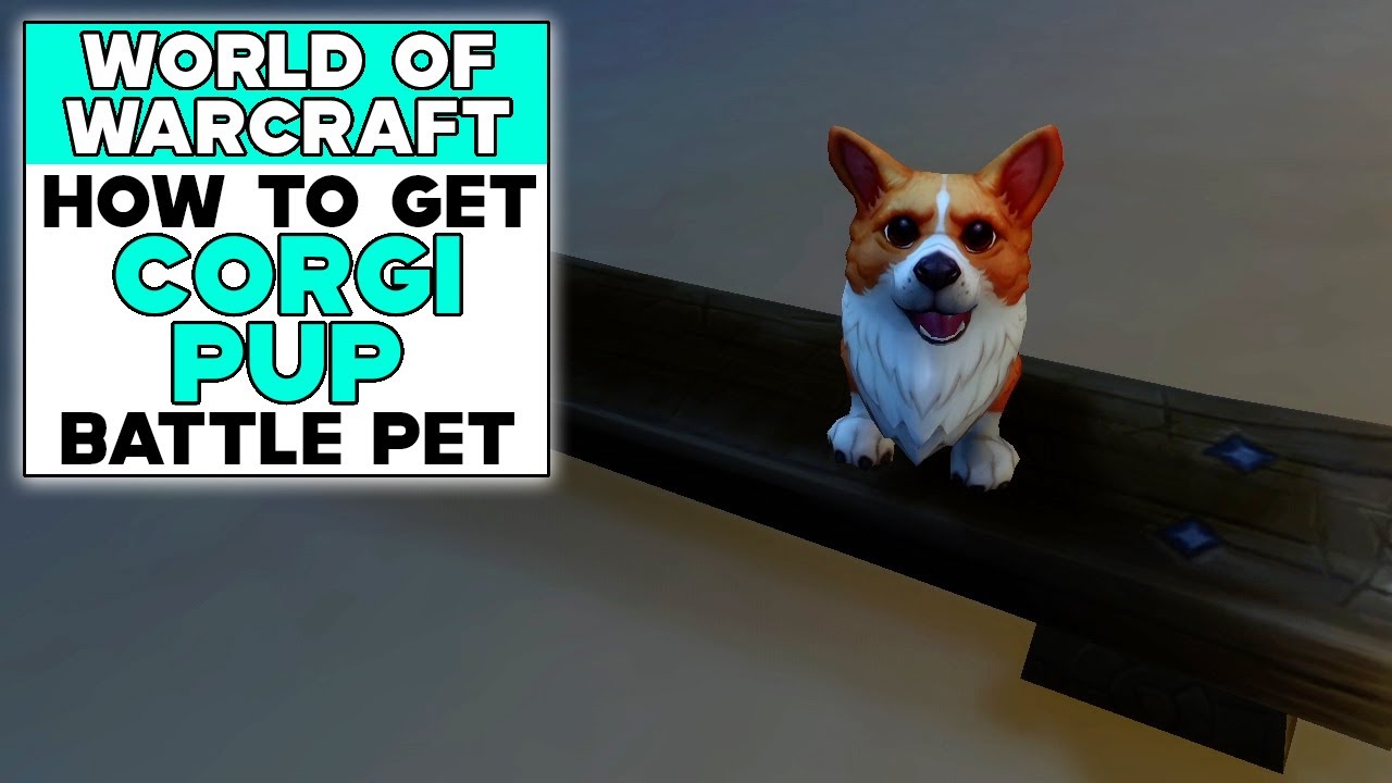 WORLD OF WARCRAFT How To Get CORGI PUP BATTLE PET - YouTube