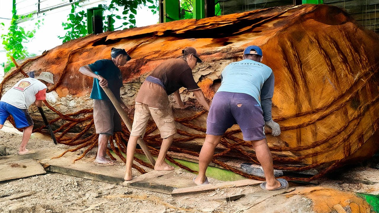 Sawing an old mahogany tree, a resident was electrocuted by the wood ...