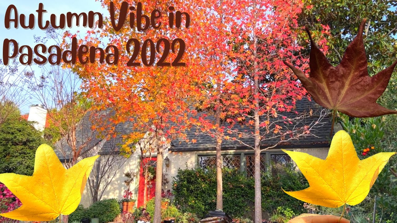FALL IN PASADENA 2022 II AUTUMN IN SOUTHERN CALIFORNIA - YouTube
