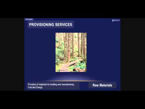 Provisioning Ecosystem Services - YouTube