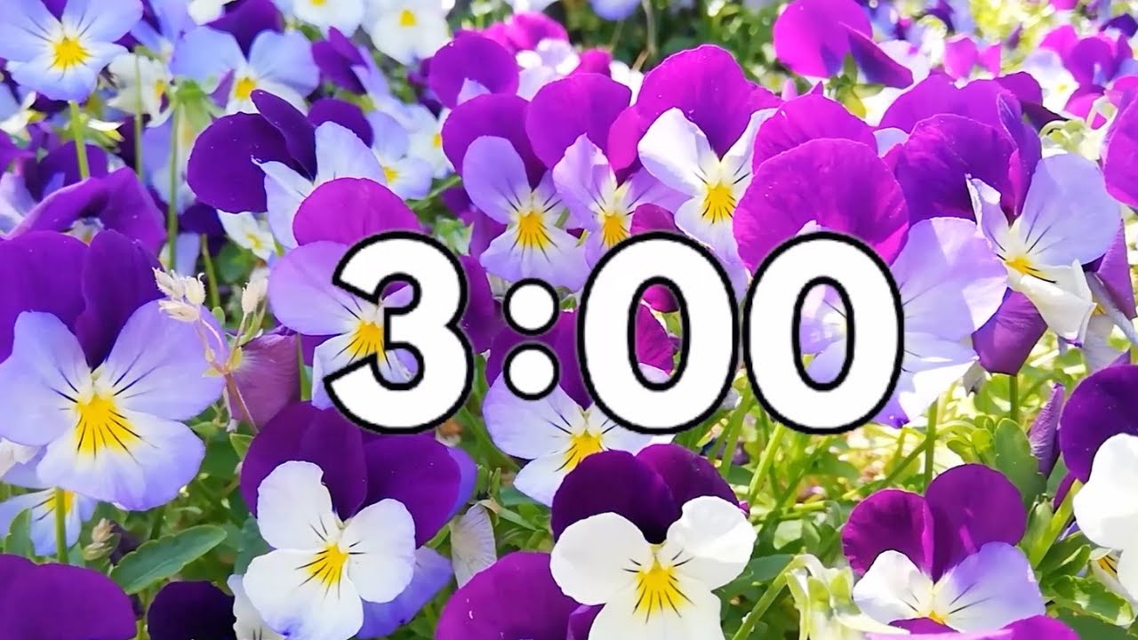 3 Minute Spring Countdown Timer - Calming Music - YouTube