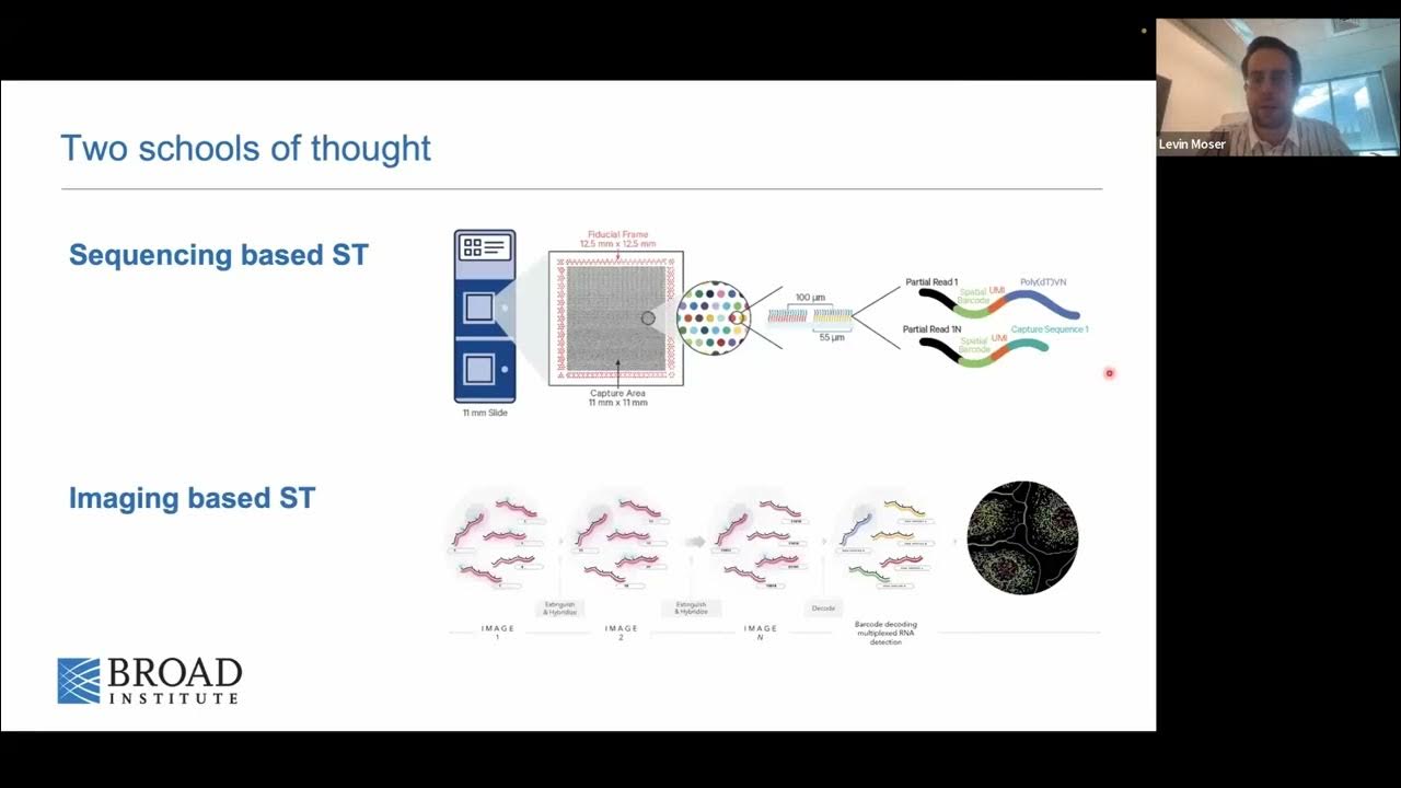 Analysis of Spatial Transcriptomics data - YouTube