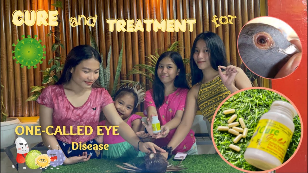 HOW TO CURE ONE COLD EYE DISEASE FANCY PIGEONS - YouTube