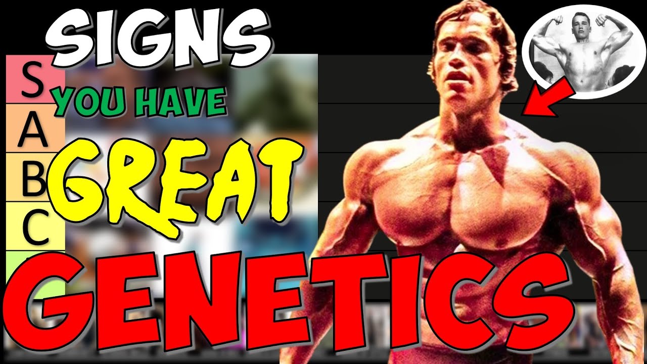 20 Signs You Will Build Muscle Fast (Elite Genetics Tier List 🧬) - YouTube