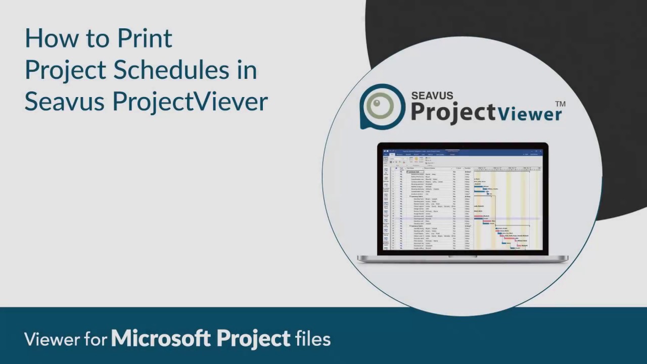 How to Print your Schedule with Seavus Project Viewer - YouTube