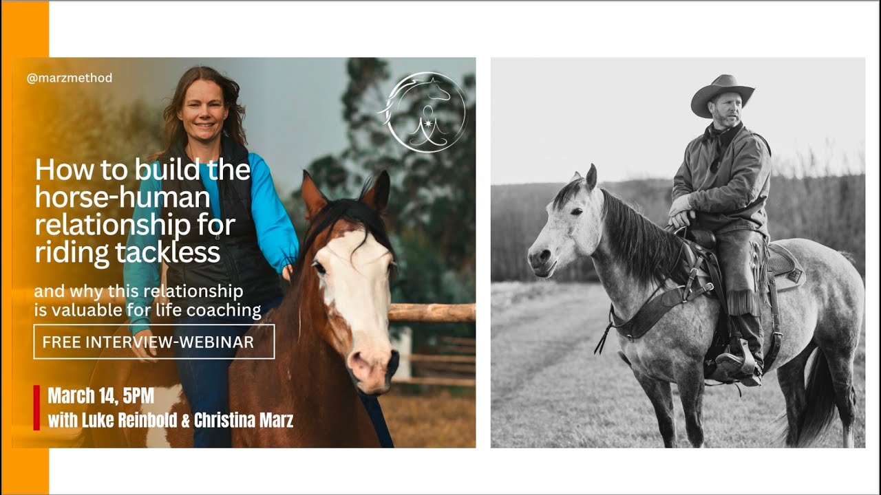 How to build a dream relationship with your horse - YouTube