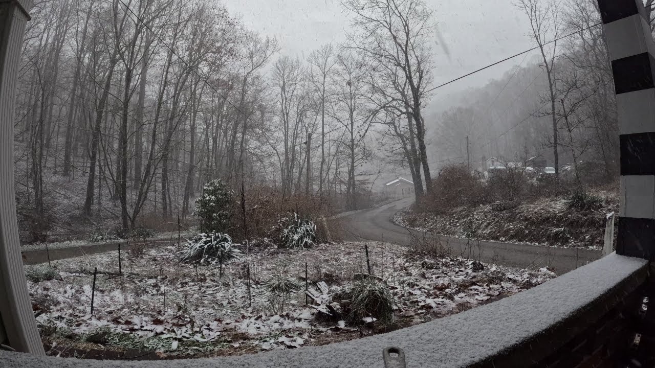 Typical winter's Day in an Elkins WV Holler 12-11-24 - YouTube