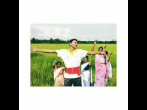 Assamese dhulikona DJ song cover niha gogoi - YouTube