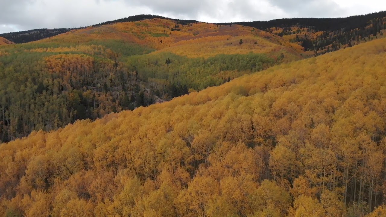 Fall Colors in Santa Fe - YouTube