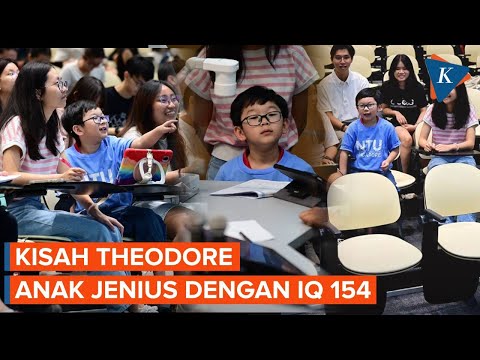 Theodore Bocah 7 Tahun IQ 154, Jadi \