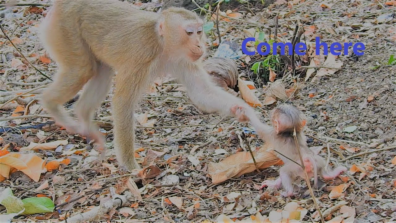 Saro becomes a good, smart and strong baby because of Sarika's mother ...