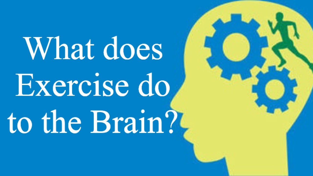 How Exercise is a magic pill for our Brain🧠 - YouTube