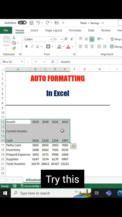 Auto | Formatting | Excel | Summary #excel #exceltips #excelformulas #exceltutorial #shorts # ...