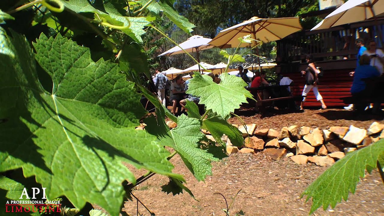 API Limousine Sacramento Wine Tours and NV Tours Promo Video 2014 ...