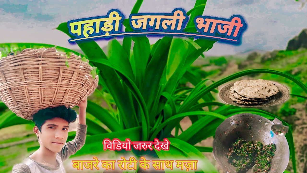 pahadi jangli bhaji || पहाड़ी जंगली भाजी|| b jamra vlog - YouTube
