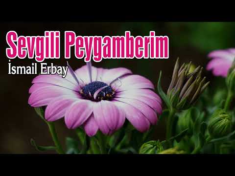 Sevgili Peygamberim - İsmail Erbay