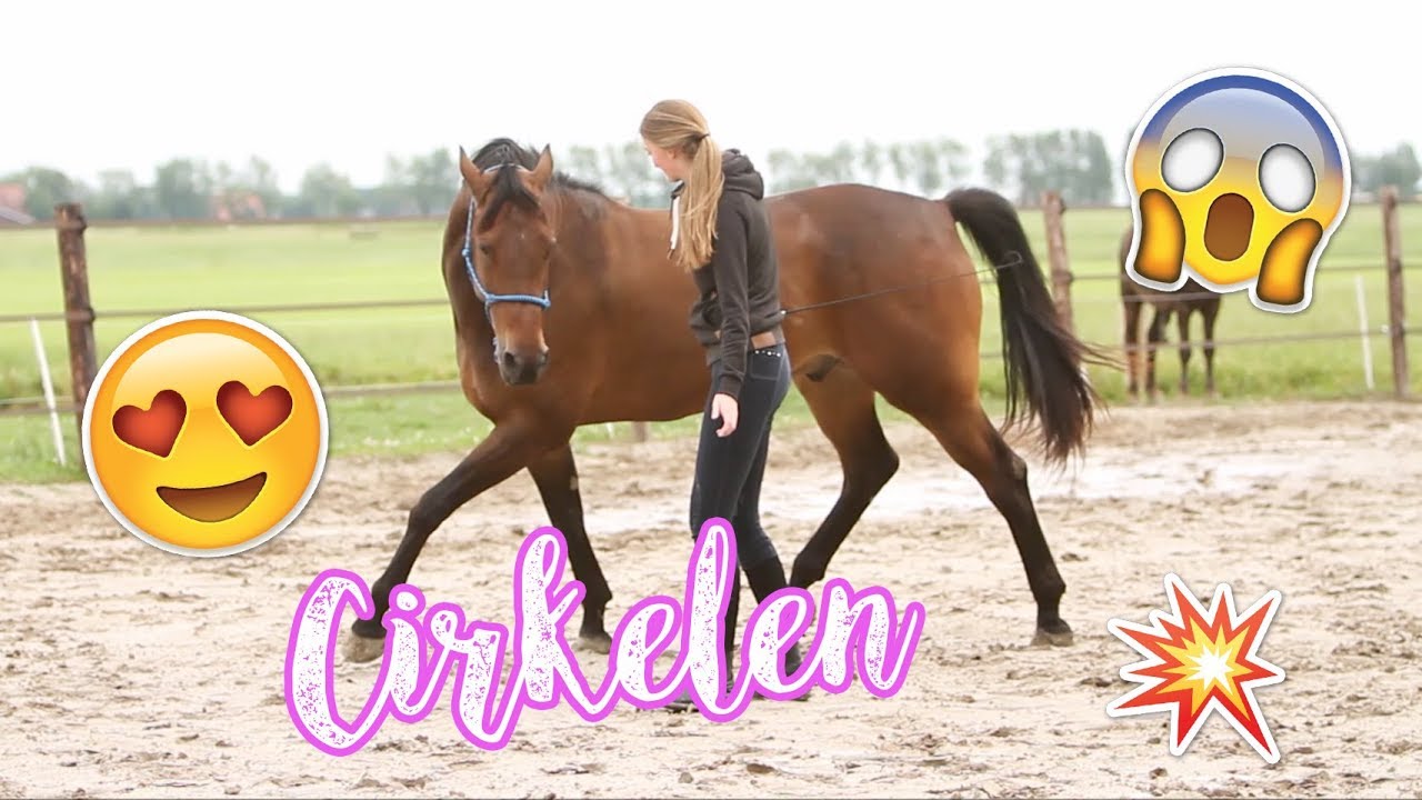Grondwerk met Gizmo: CIRKELEN | Simone & Gizmo - YouTube