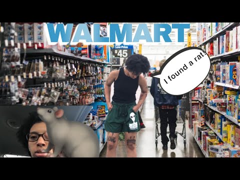 Finding Rats in Walmart prank - YouTube