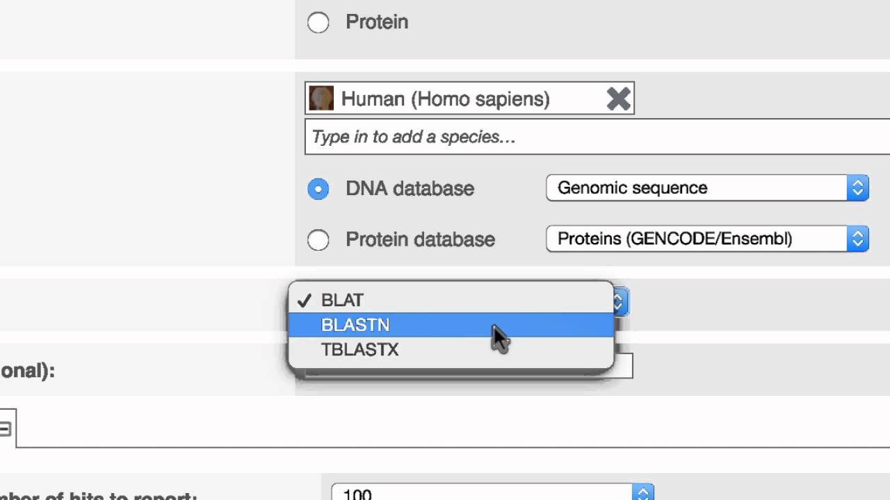 The Ensembl BLAST and BLAT tools - YouTube
