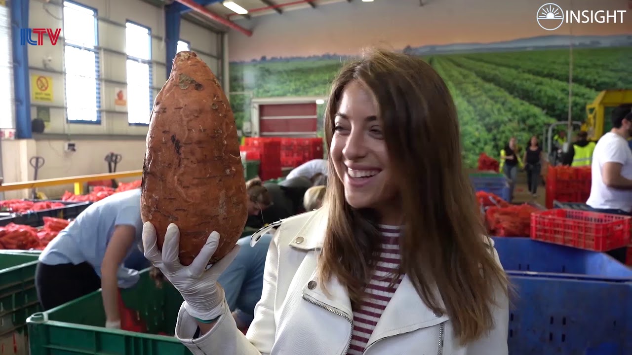 Insight to Israel - Leket, leading food rescue organization in Israel ...