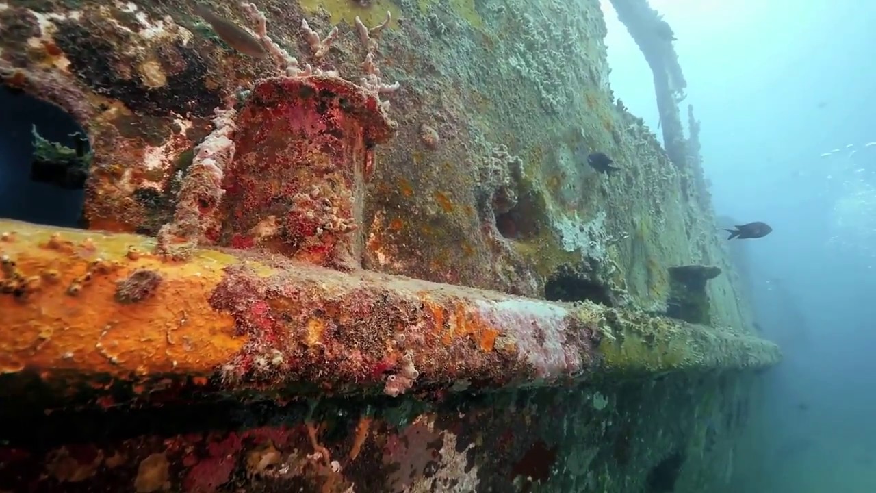 Atlantic Princess Wreck in Bayahibe, Dominican Republic - YouTube