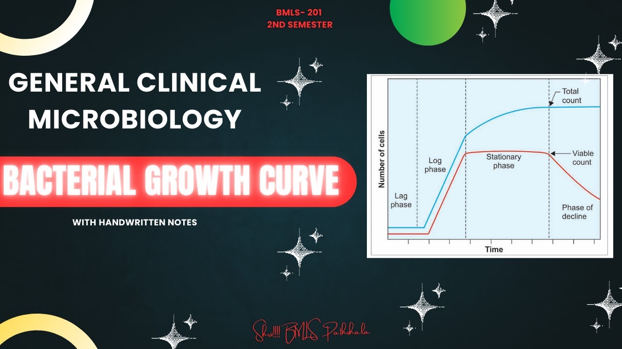 Bacterial Growths Curve | Normal Growth Cycle Of Bacterial | BACTERIA ...