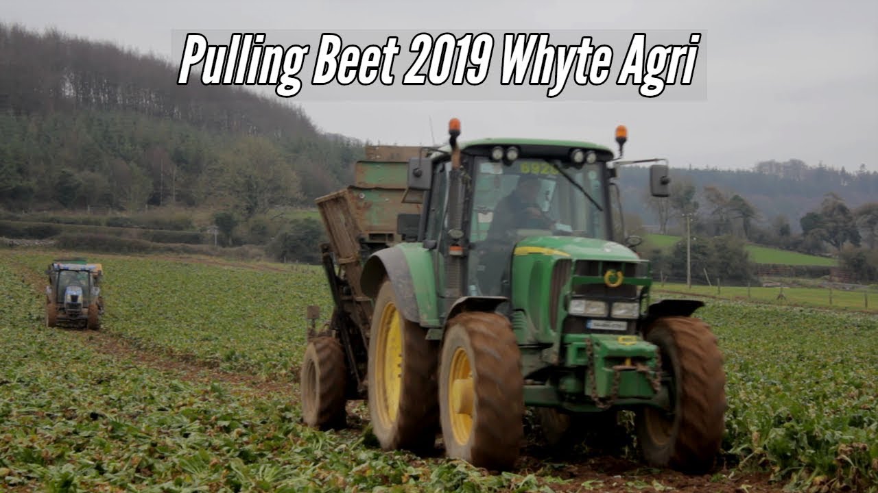 Pulling Beet 2019-Whyte Agri - YouTube