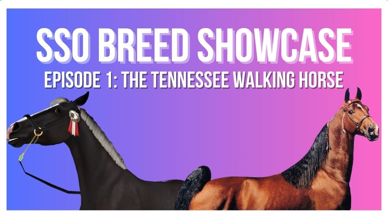 SSO Breed Showcase Episode 1: The Tennessee Walking Horse - YouTube