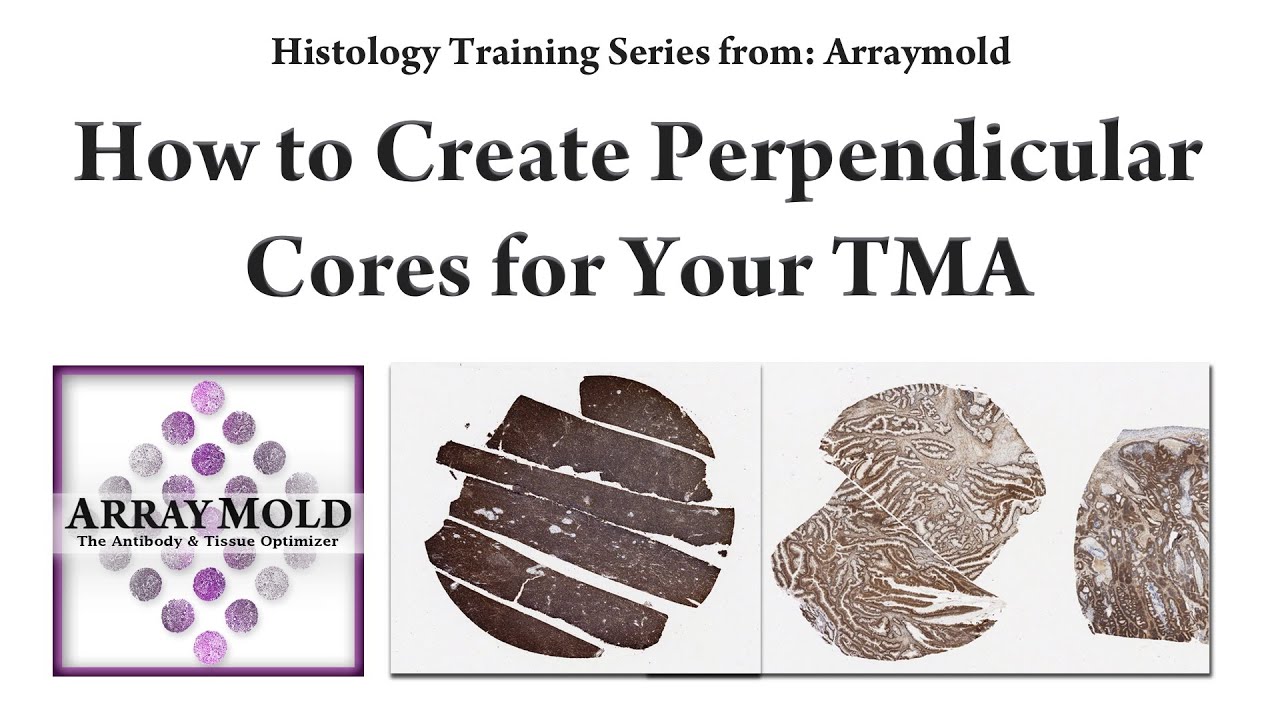 How to Create Perpendicular Tissue Cores For Tissue Microarrays - YouTube