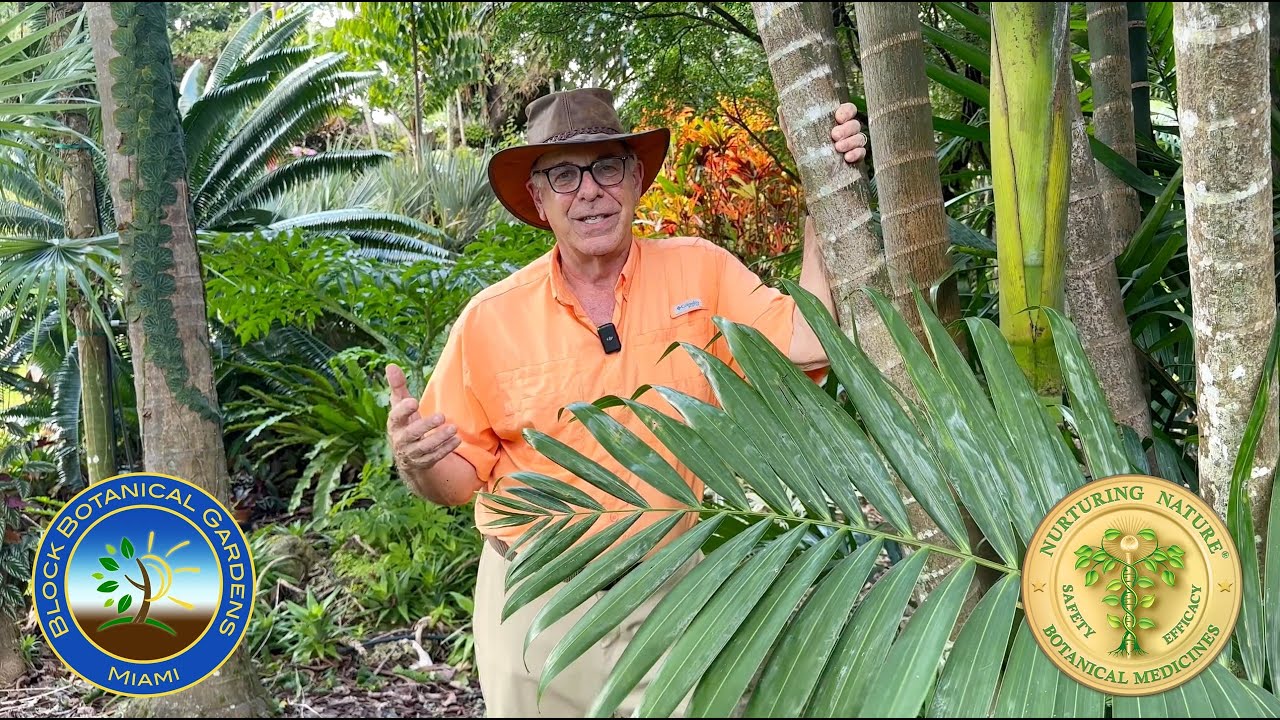 DocBlock's Botanical Gardens - @OnlyPlants Interview - YouTube