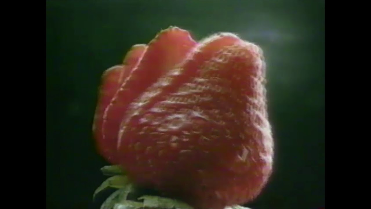 Kellogg's Strawberry Squares Commercial - YouTube