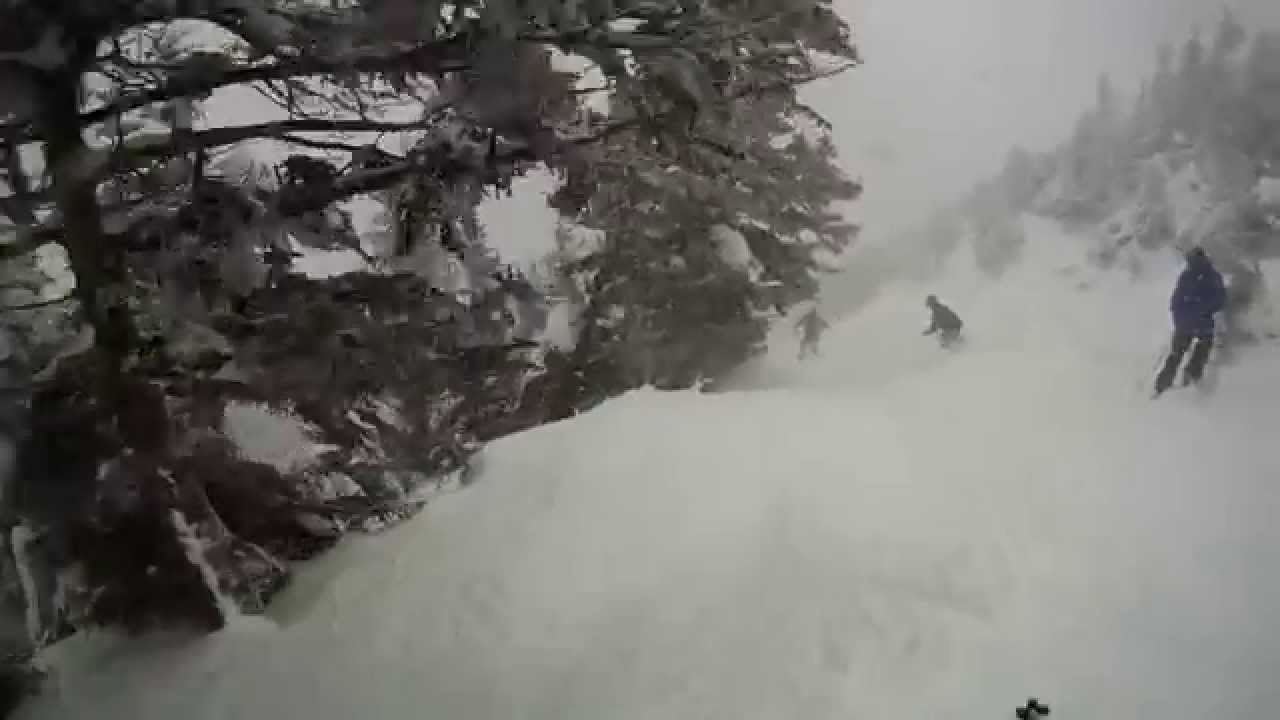 Skiing Goat and the Woods - YouTube