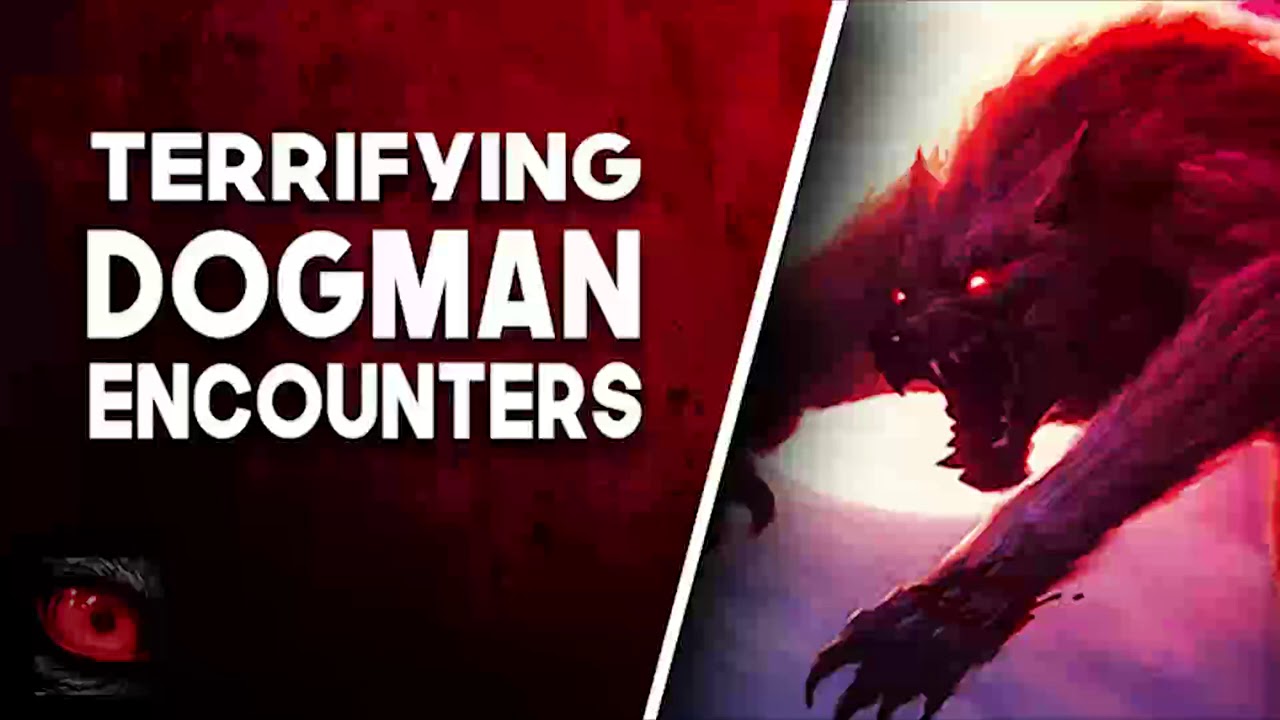 DOGMAN HIDING IN THE WOODS - TRUE SCARY DOGMAN ENCOUNTER - What Lurks ...