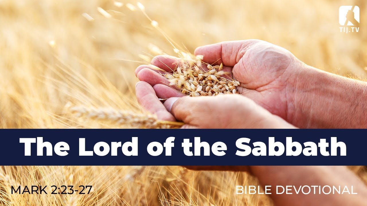 Catholic Gospel and Reflection for January 21, 2025 - Mark 2:23-28 ...