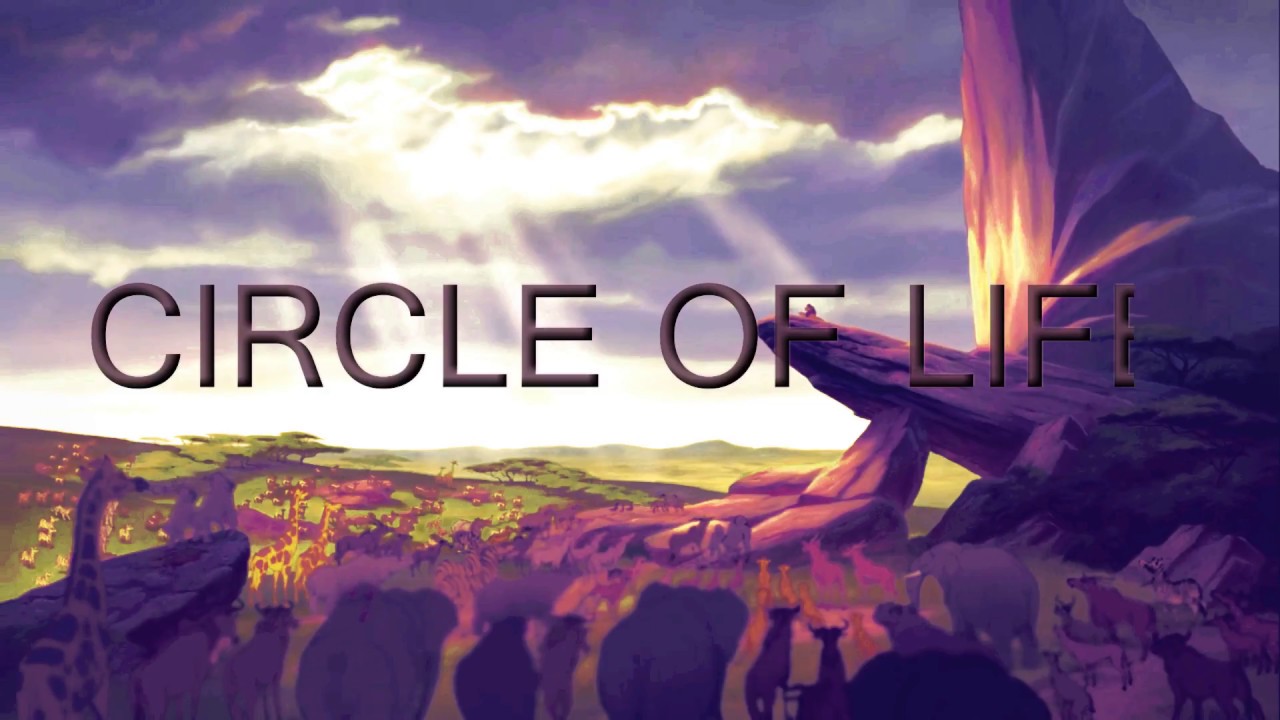 The Lion King - Circle of Life - YouTube