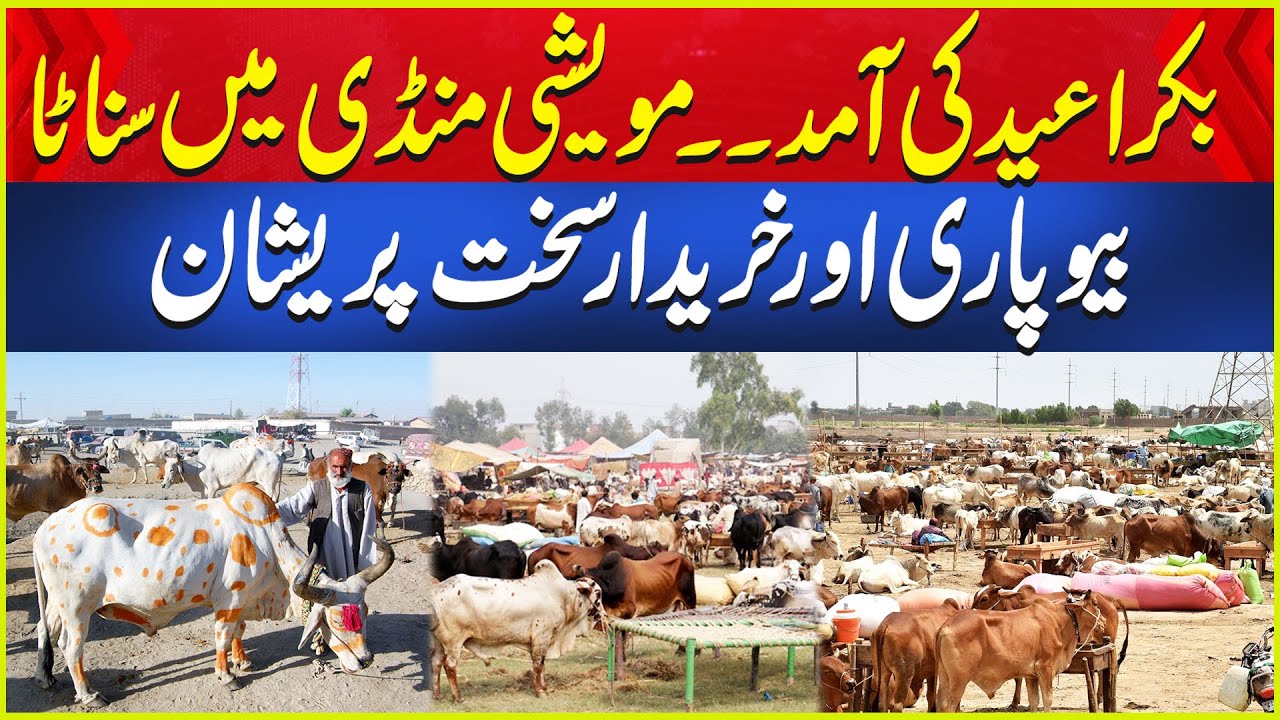 Eid-Al-Adha In Pakistan | Maweshi Mandi Market Latest Updates | Cattle ...