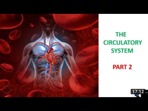 Icse Class 10th Biology -The Circulatory system handwritten notes 𝙋𝙖𝙧𝙩 ...