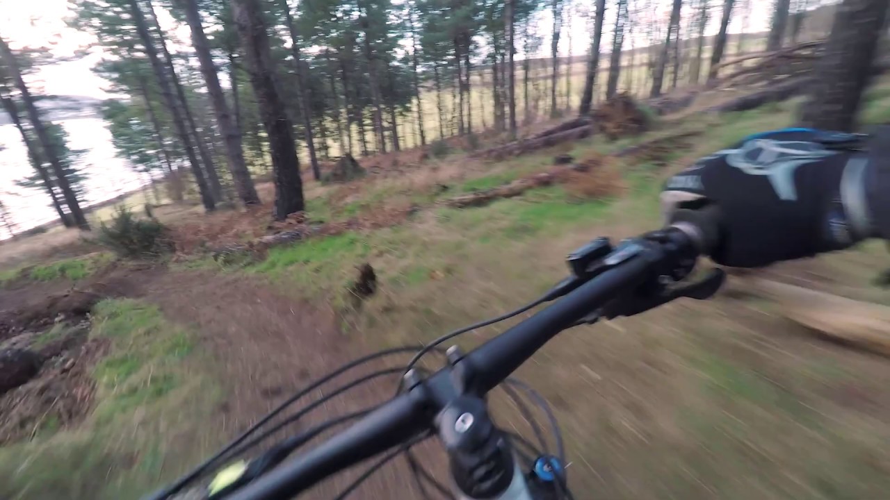 MTB Trail riding "Braefoot Bay", Fife, Scotland. - YouTube