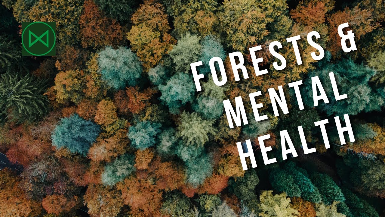 Reconnecting with Nature: The Impact of Nature on Mental Health and ...