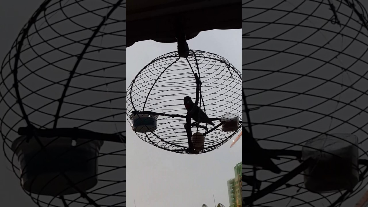 SERINDIK-Pikat Serindik gian 2 - YouTube