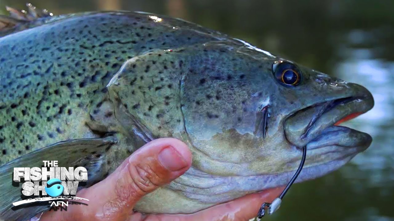 Surface fishing for Murray Cod - YouTube