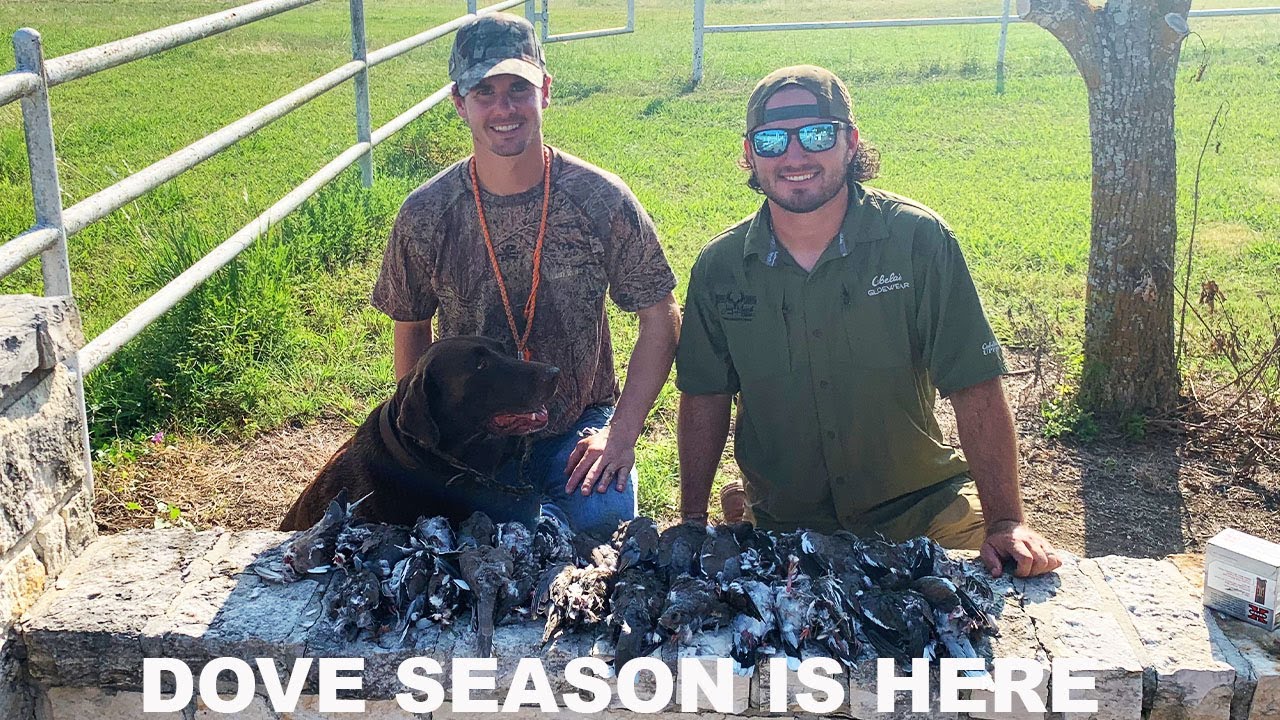 TEXAS DOVE SEASON OPENER {Catch Clean Cook} - YouTube